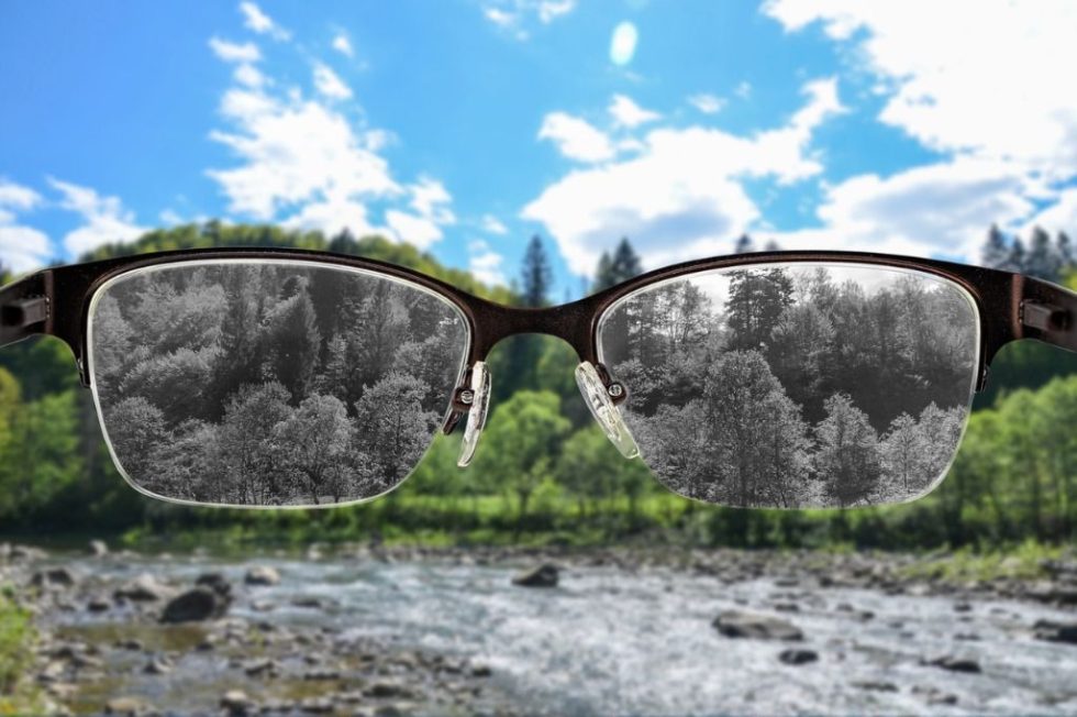 Apa itu Dyschromatopsia atau Buta Warna Parsial? | VIO Optical Clinic ...